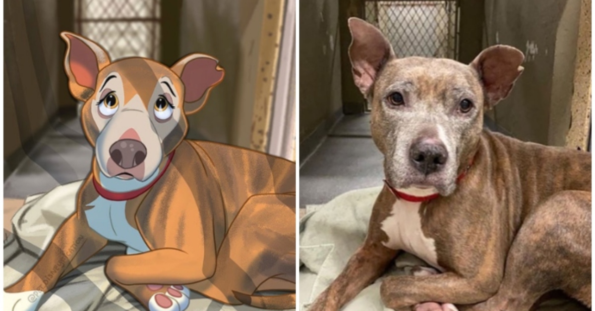 Brilliant Artist Disneyfies Pets Photos Sent To Her By Fans - Comic Stadium