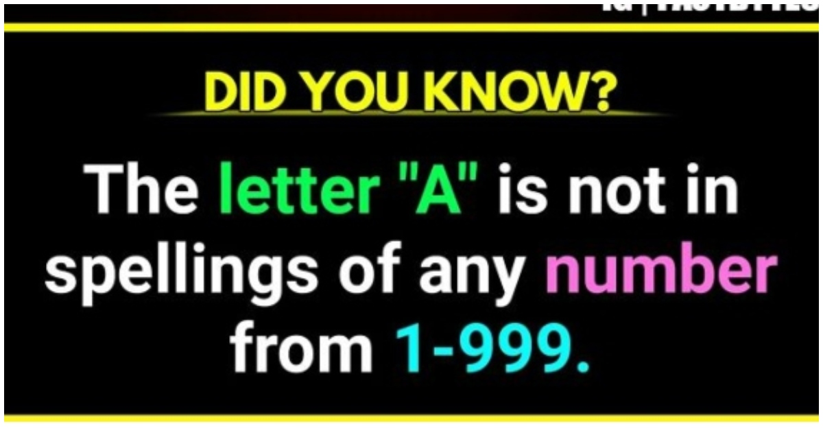 41 Fun Trivia Facts for Your Next Conversation Starter - Comic Stadium